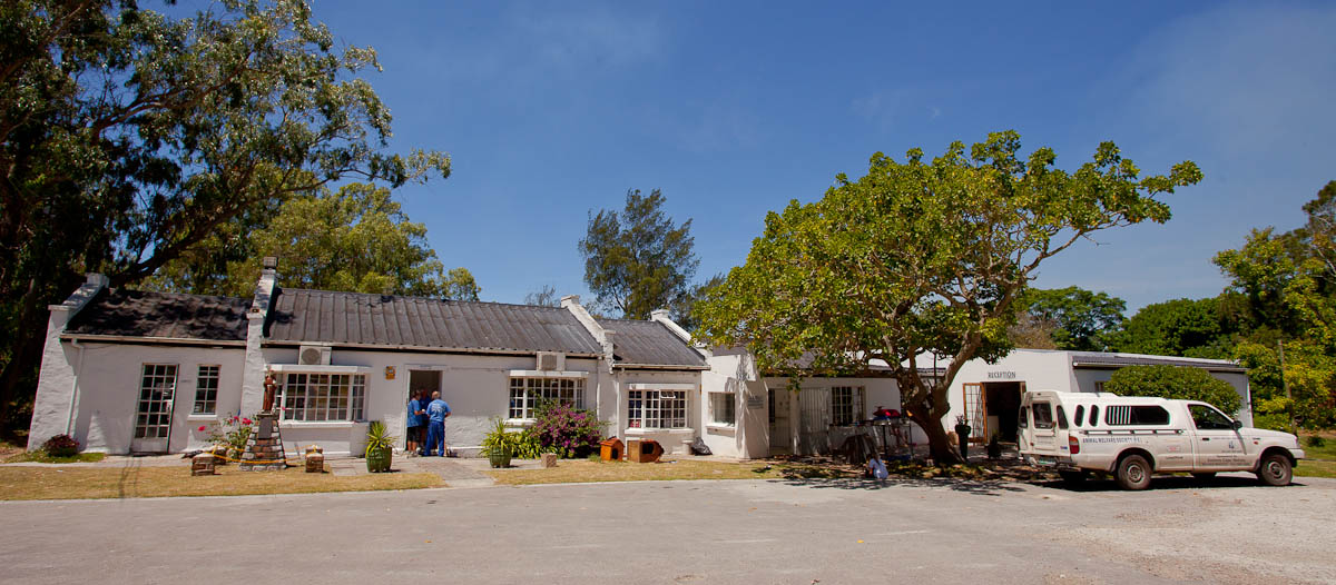 Mission Statement – Animal Welfare Society PE